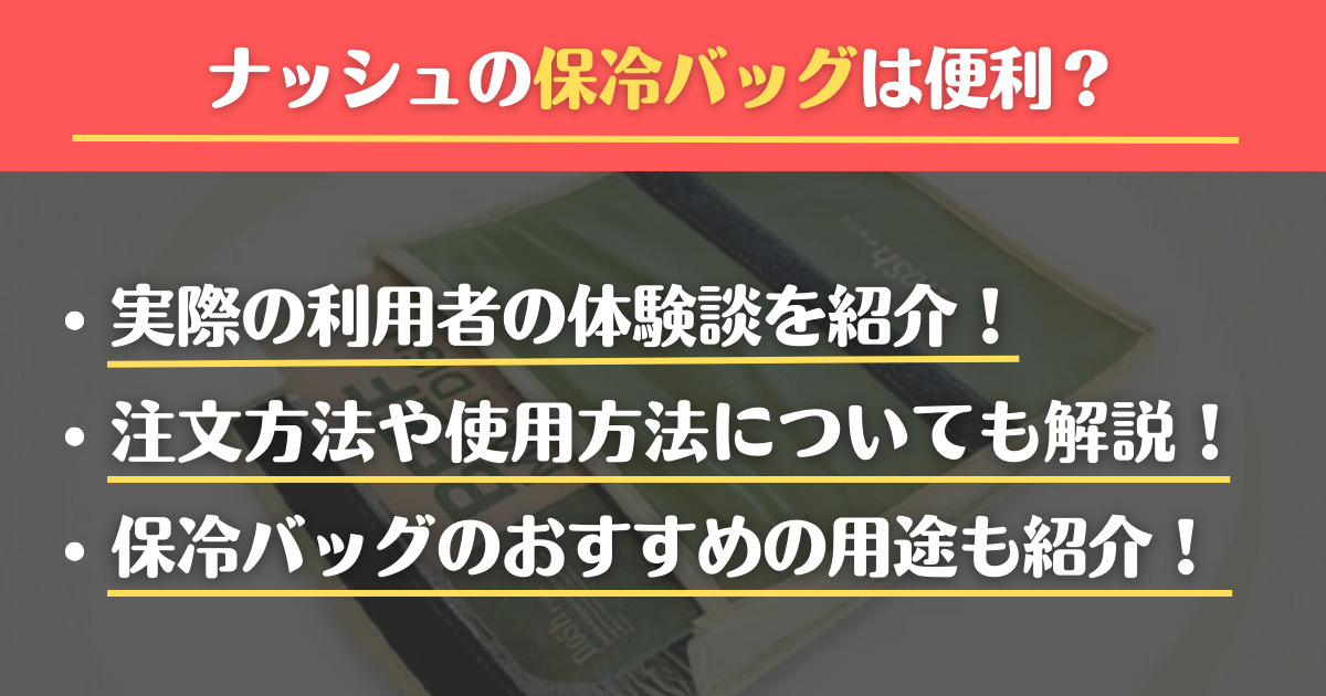 ナッシュの保冷バッグで弁当を会社でも！保冷剤ありの持ち運び時間は？利用者の評判も紹介